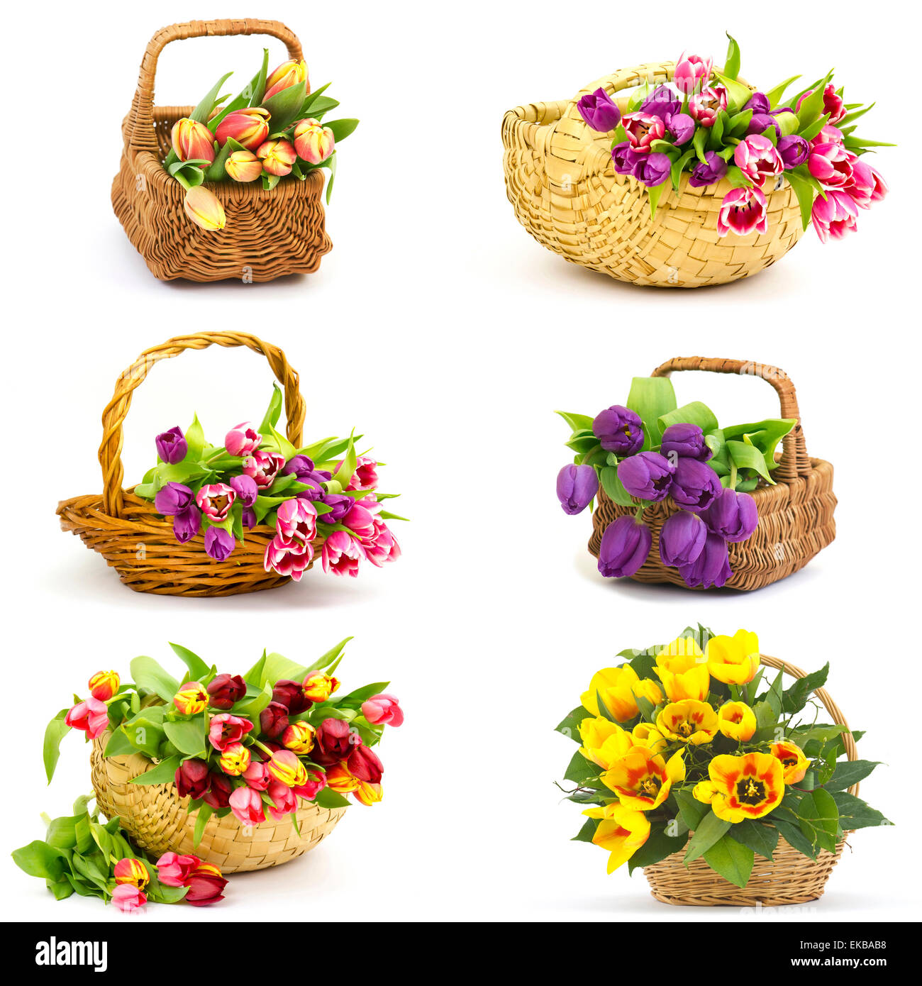colourful tulips - collage Stock Photo - Alamy