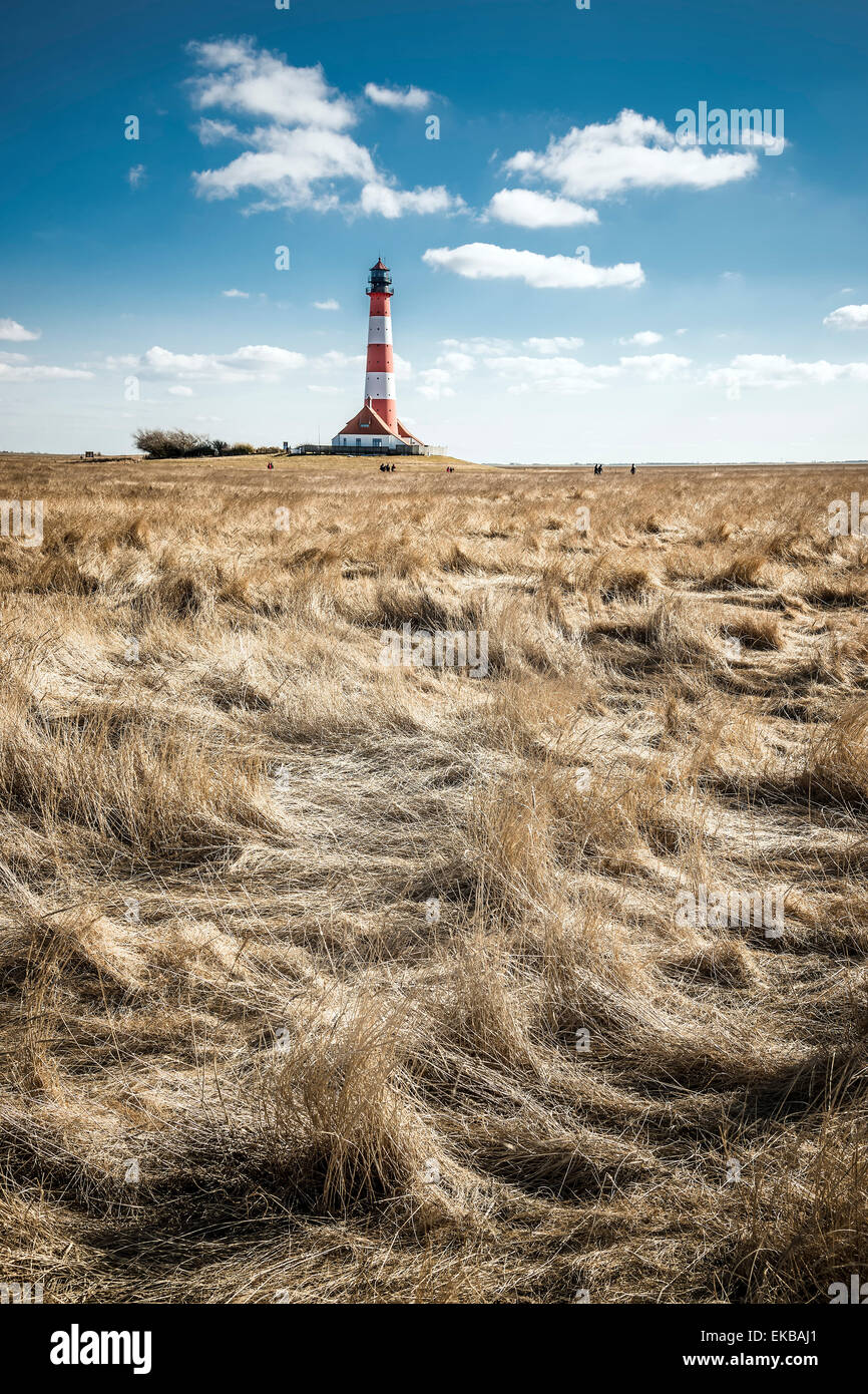 Gras with lighthouse Stock Photo - Alamy
