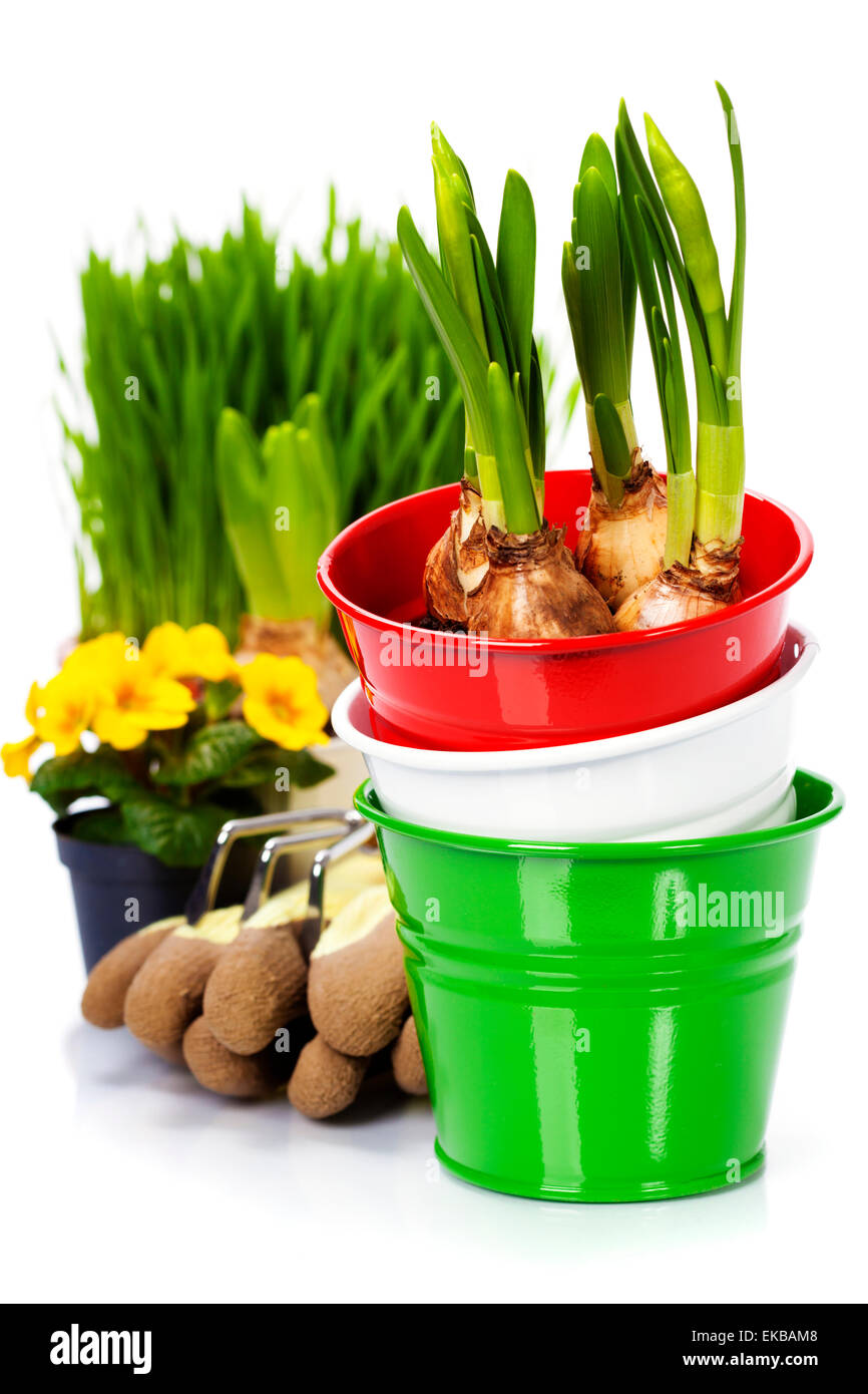 Spring flowers frame on Cut Out Stock Images & Pictures - Alamy