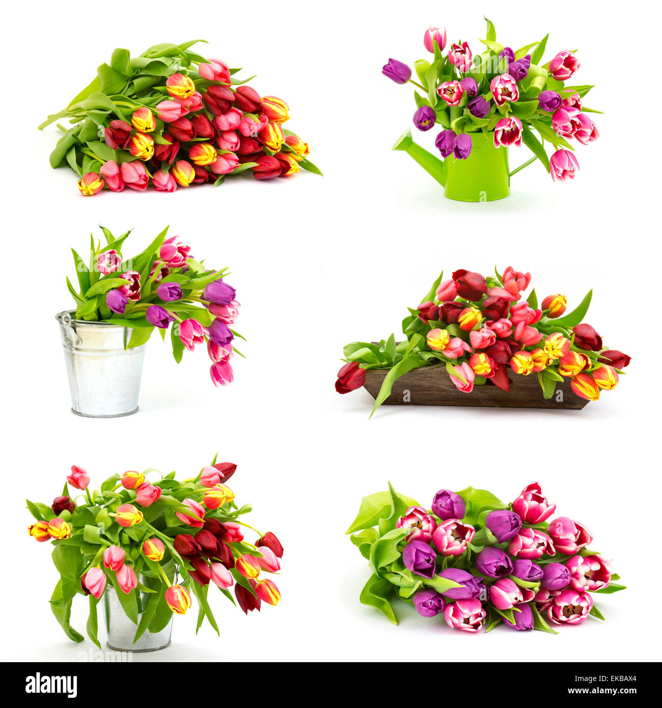 colourful tulips - collage Stock Photo - Alamy