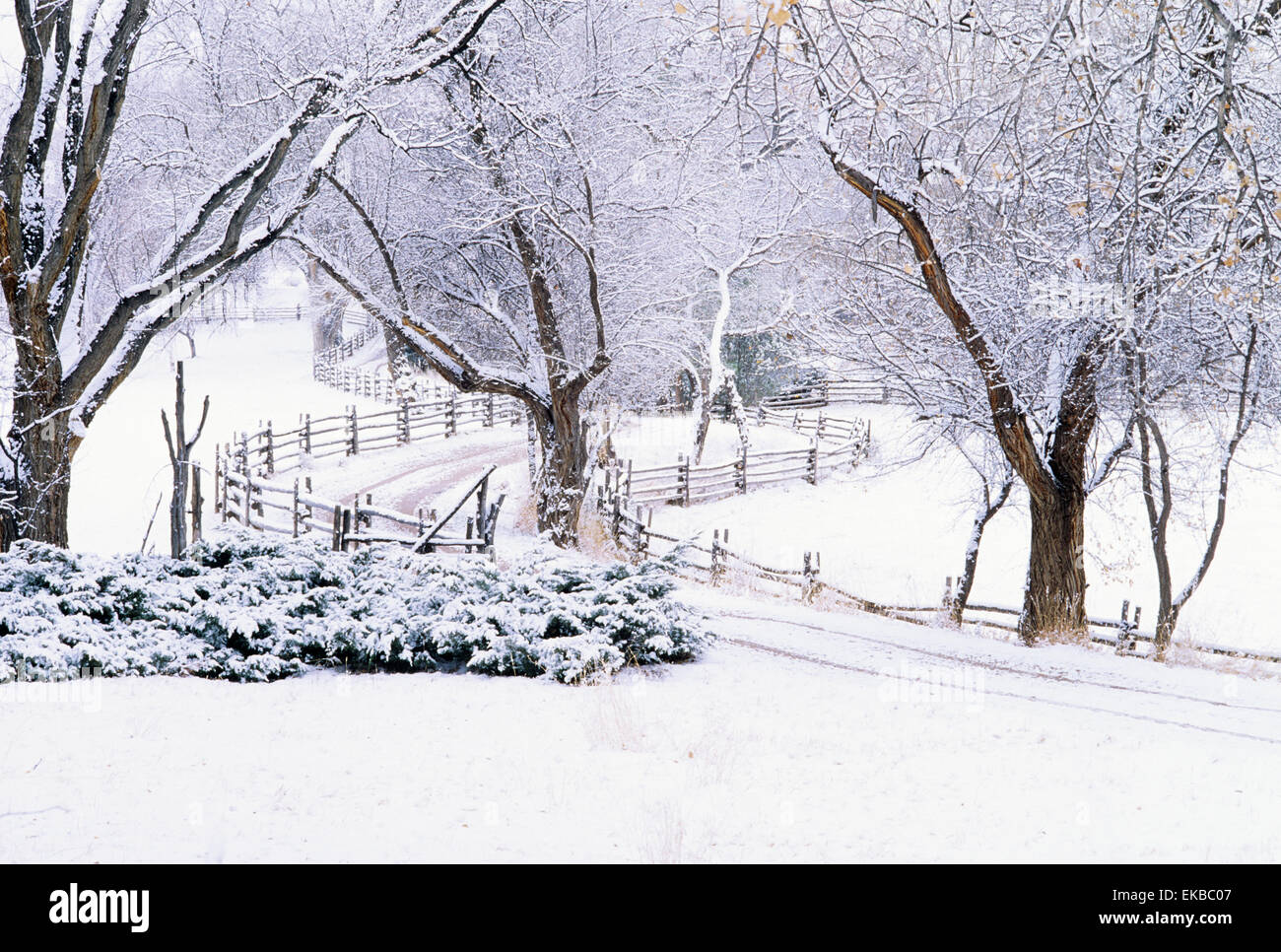 A winter snowfall creates a dreamy scene at a ranch entrance north of ...