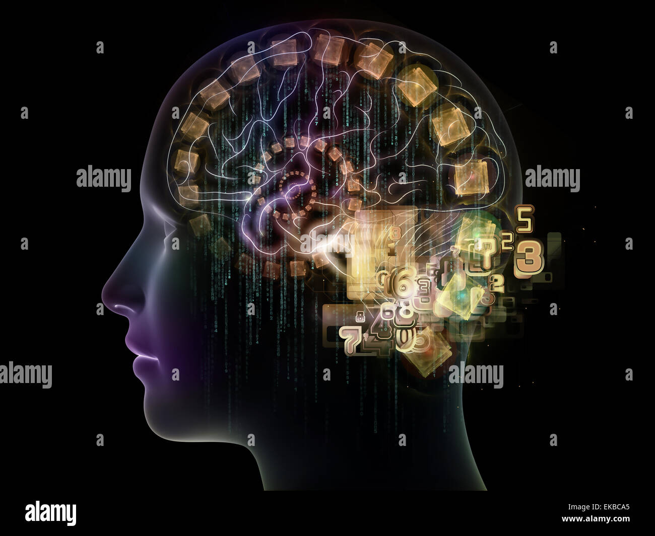 Reality of Knowledge Stock Photo - Alamy