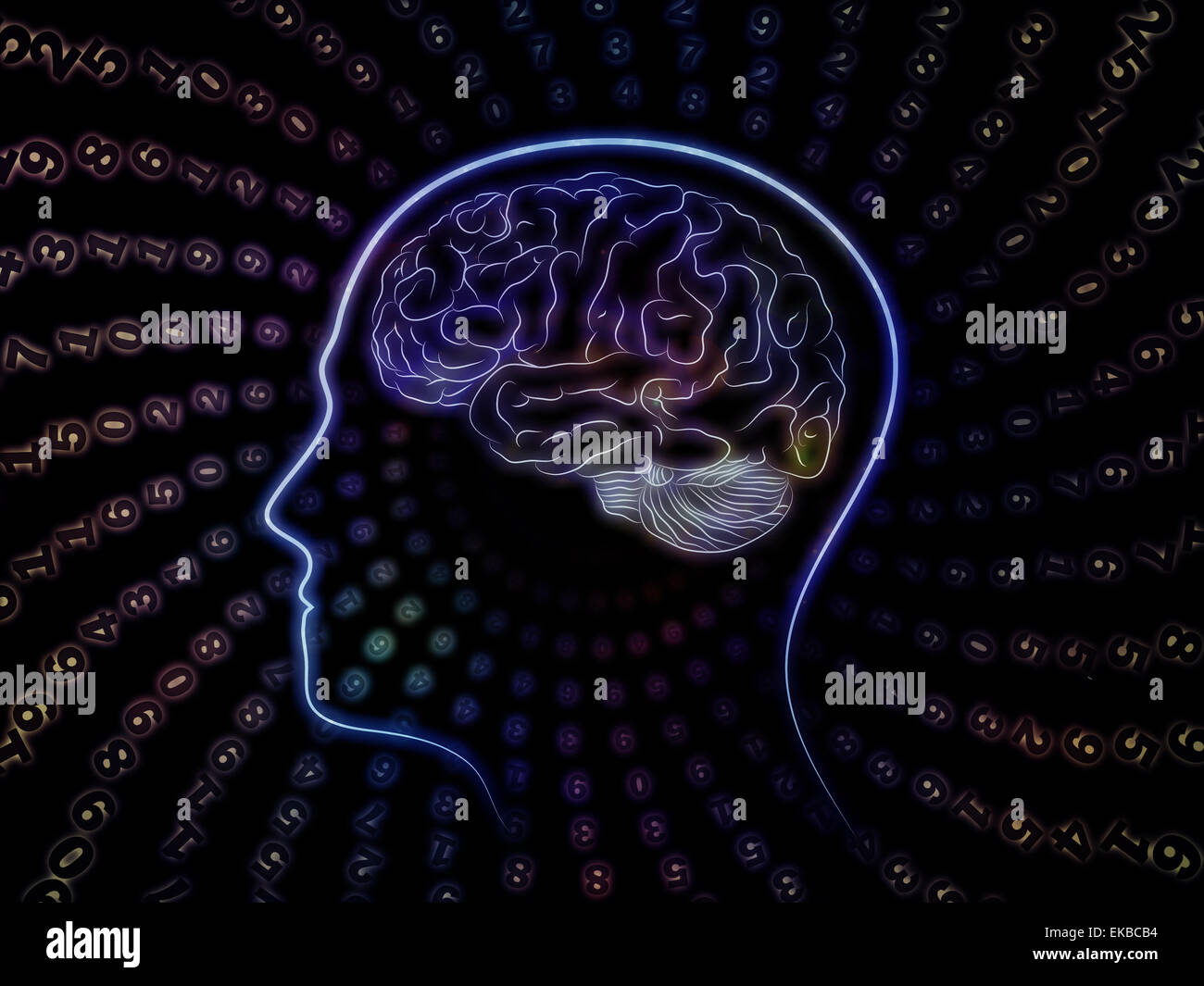 Line drawing head outline brain hi-res stock photography and images - Alamy