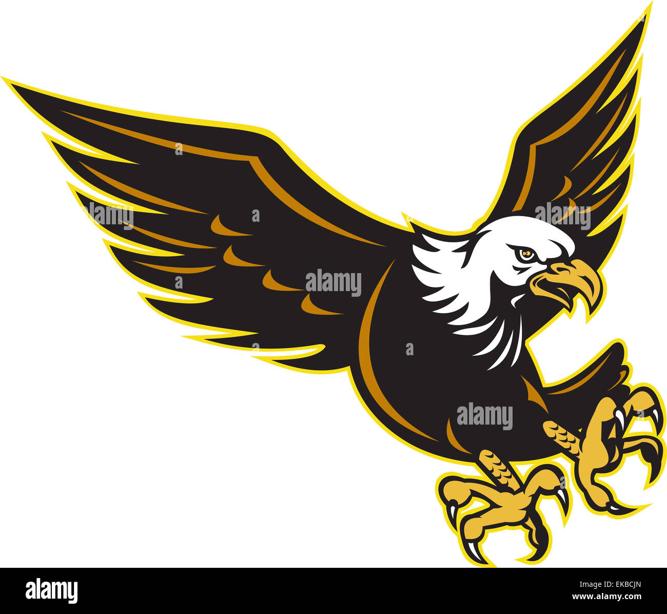 American Bald Eagle flying Stock Photo - Alamy