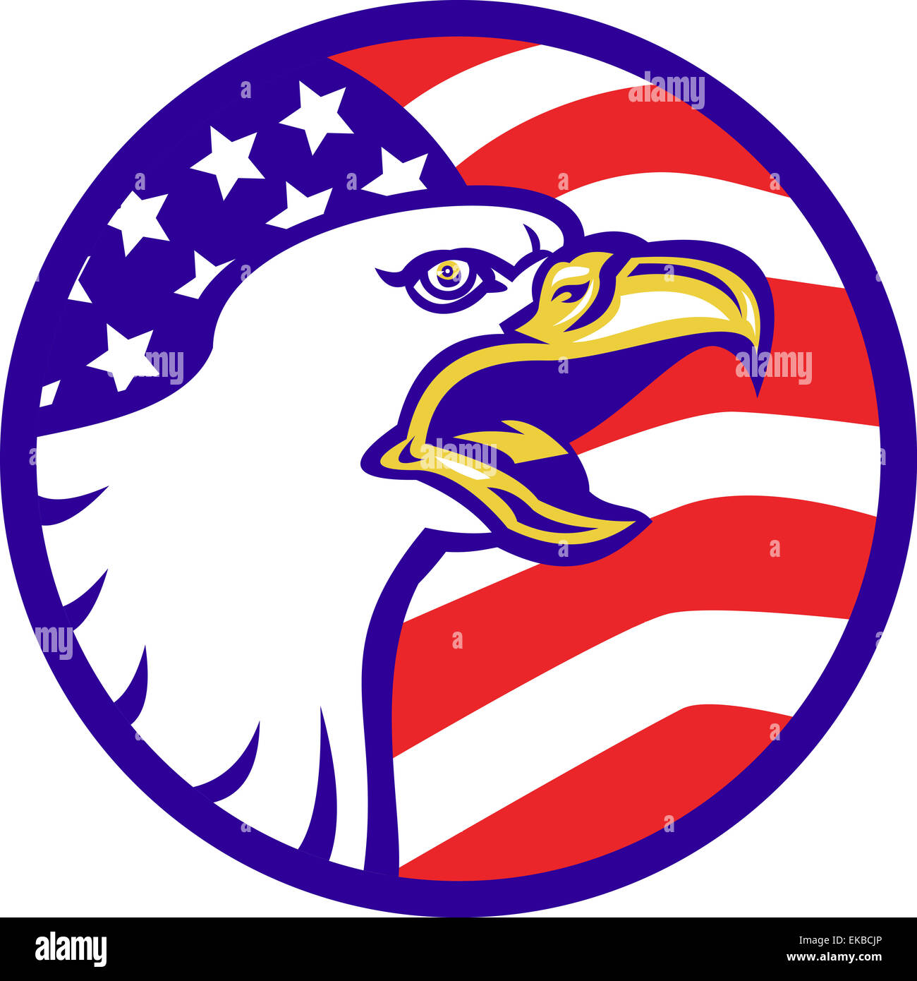 American Bald eagle screaming with USA flag Stock Photo - Alamy