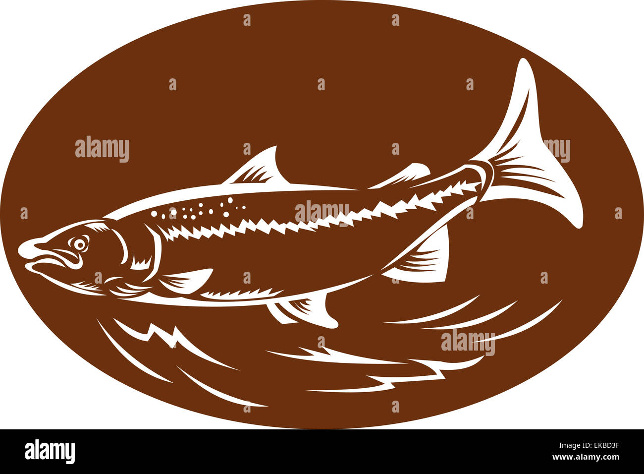 Woodcut fish hi-res stock photography and images - Alamy