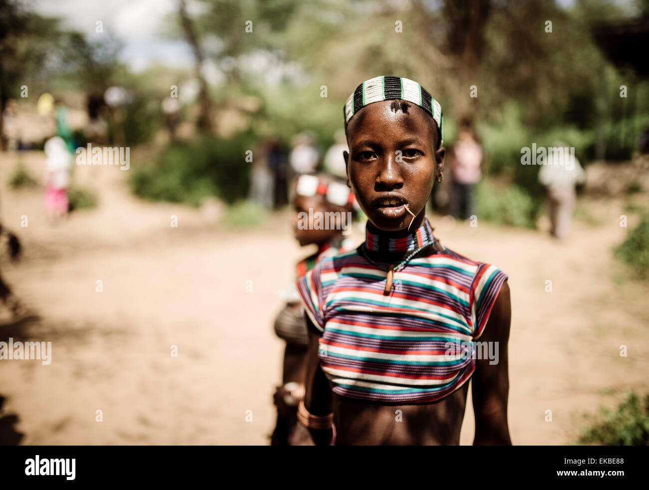 Jumping of the Bulls Ceremony, Hamar Tribe, Turmi, Omo Valley, Ethiopia ...