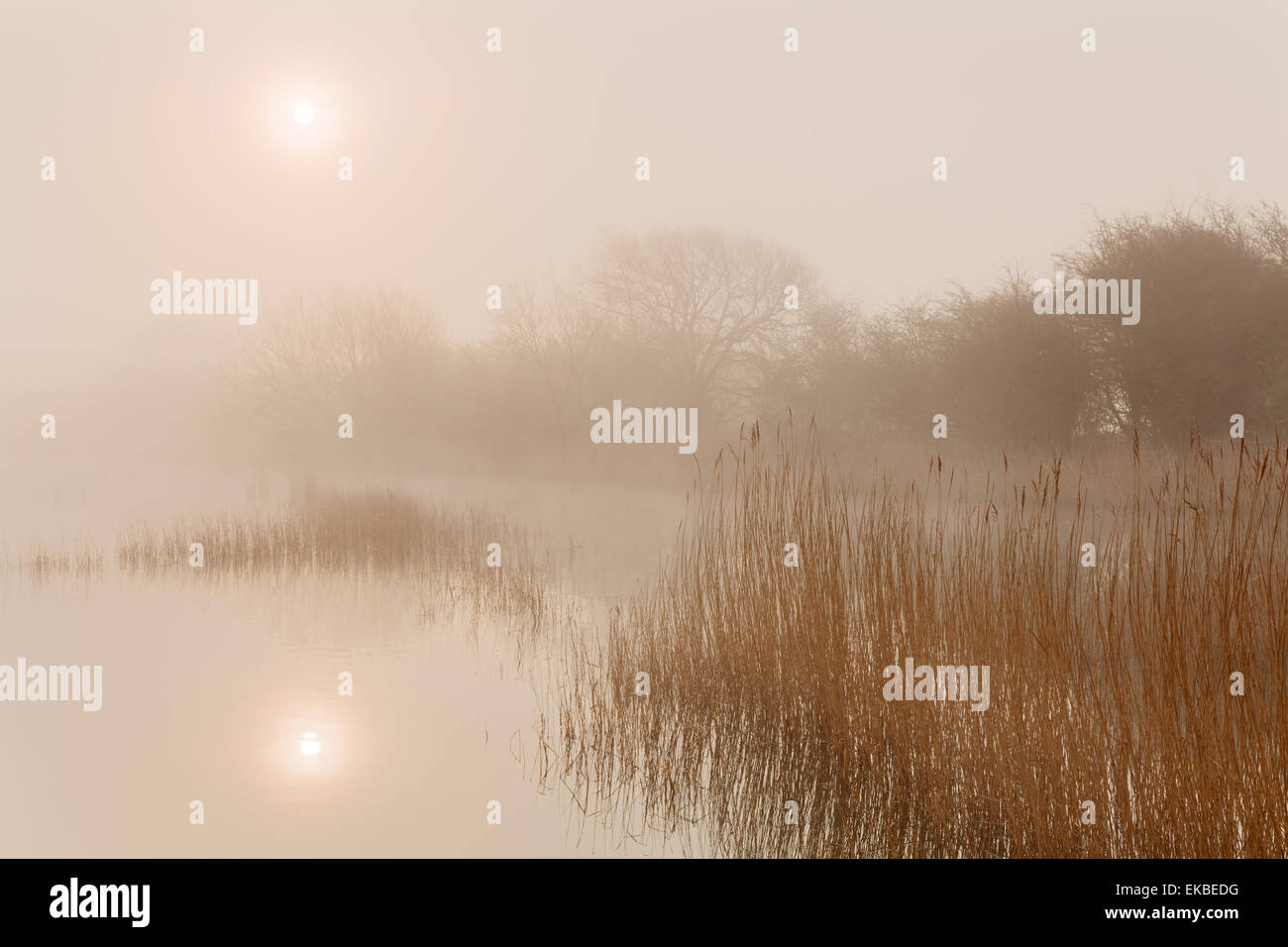 Barrow Haven Nature Reserve in North Lincolnshire, UK. 9th April, 2015 ...