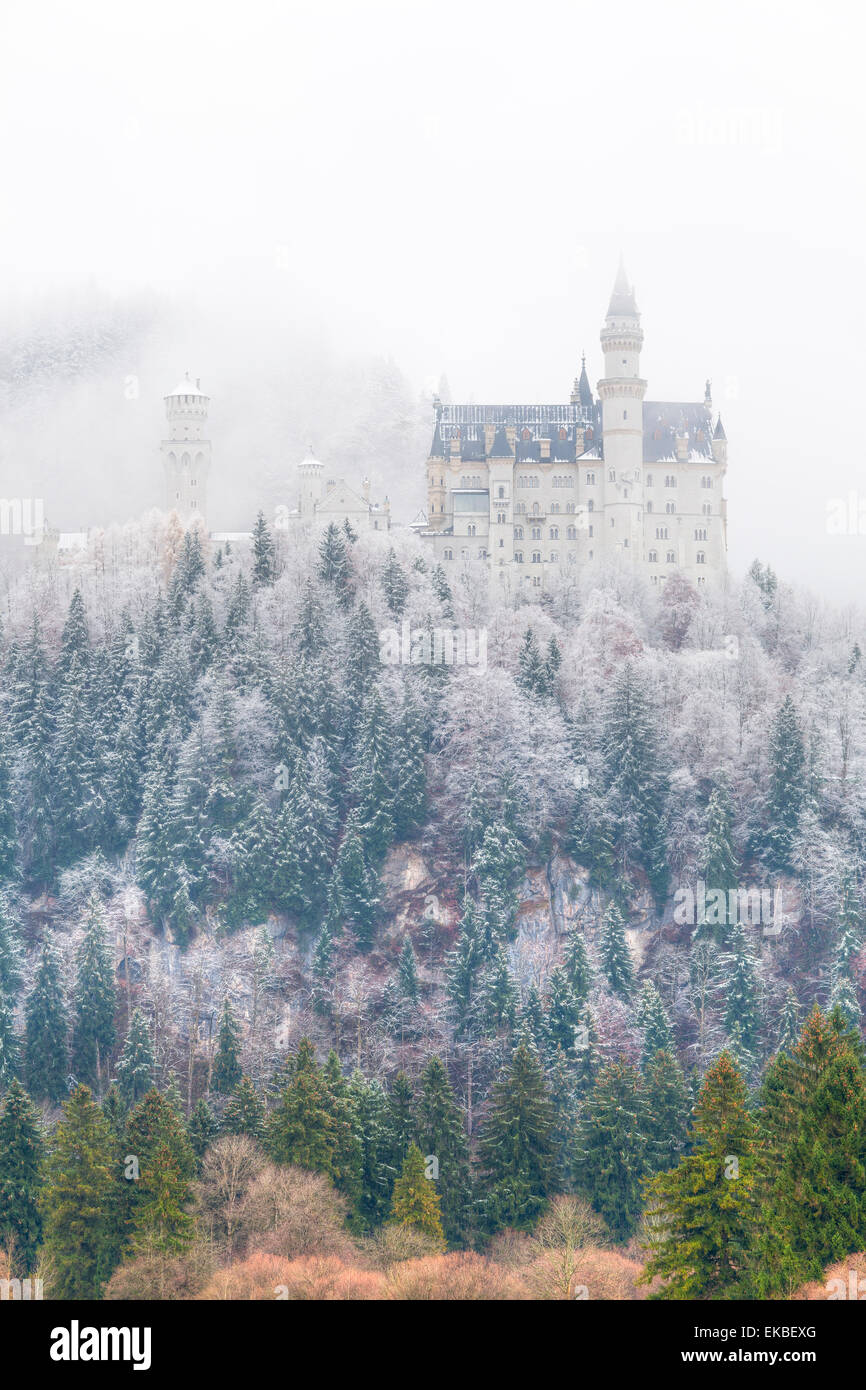 Neuschwanstein castle snow hi-res stock photography and images - Alamy