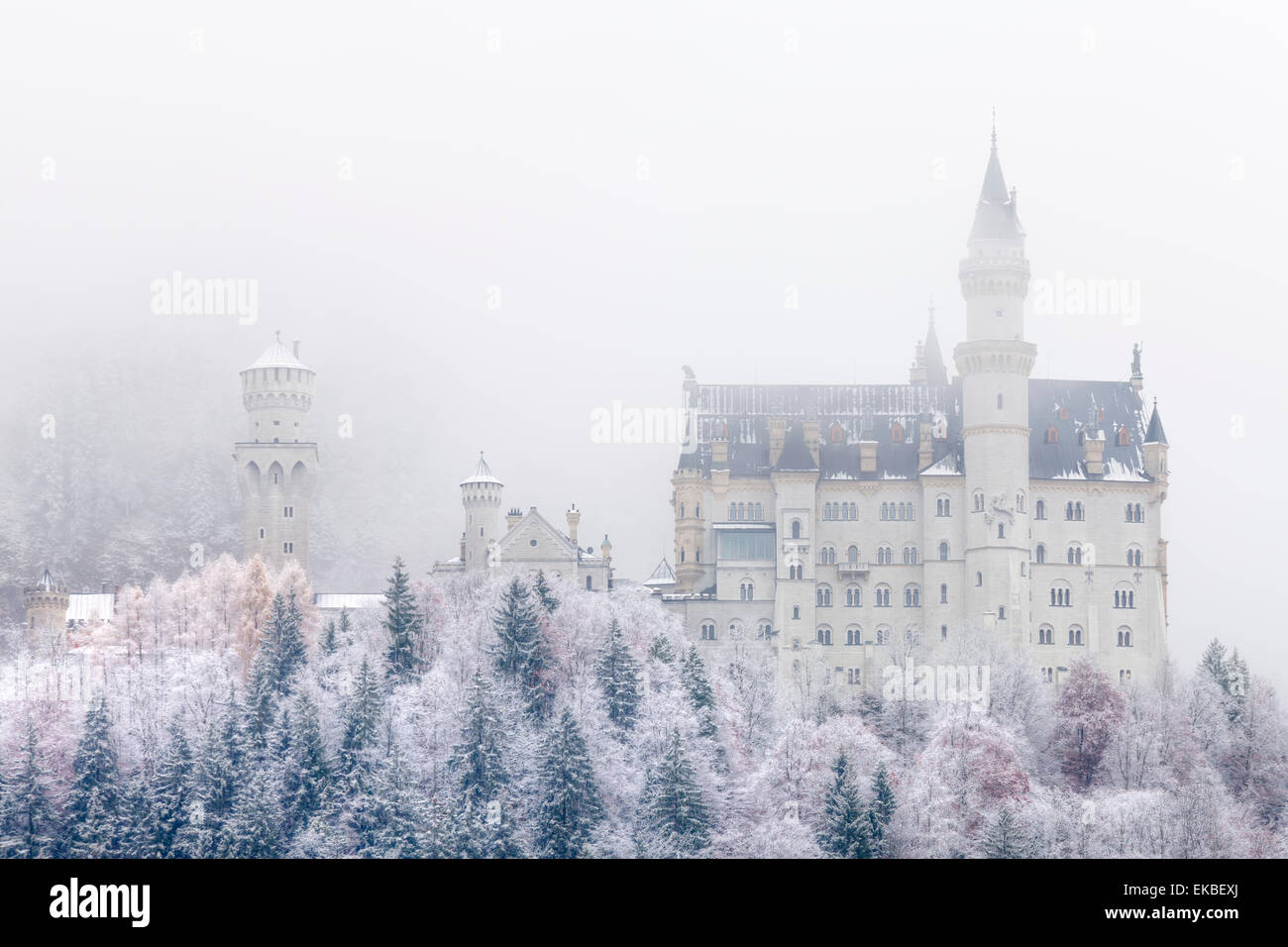 Neuschwanstein Castle in winter, Fussen, Bavaria, Germany, Europe Stock ...