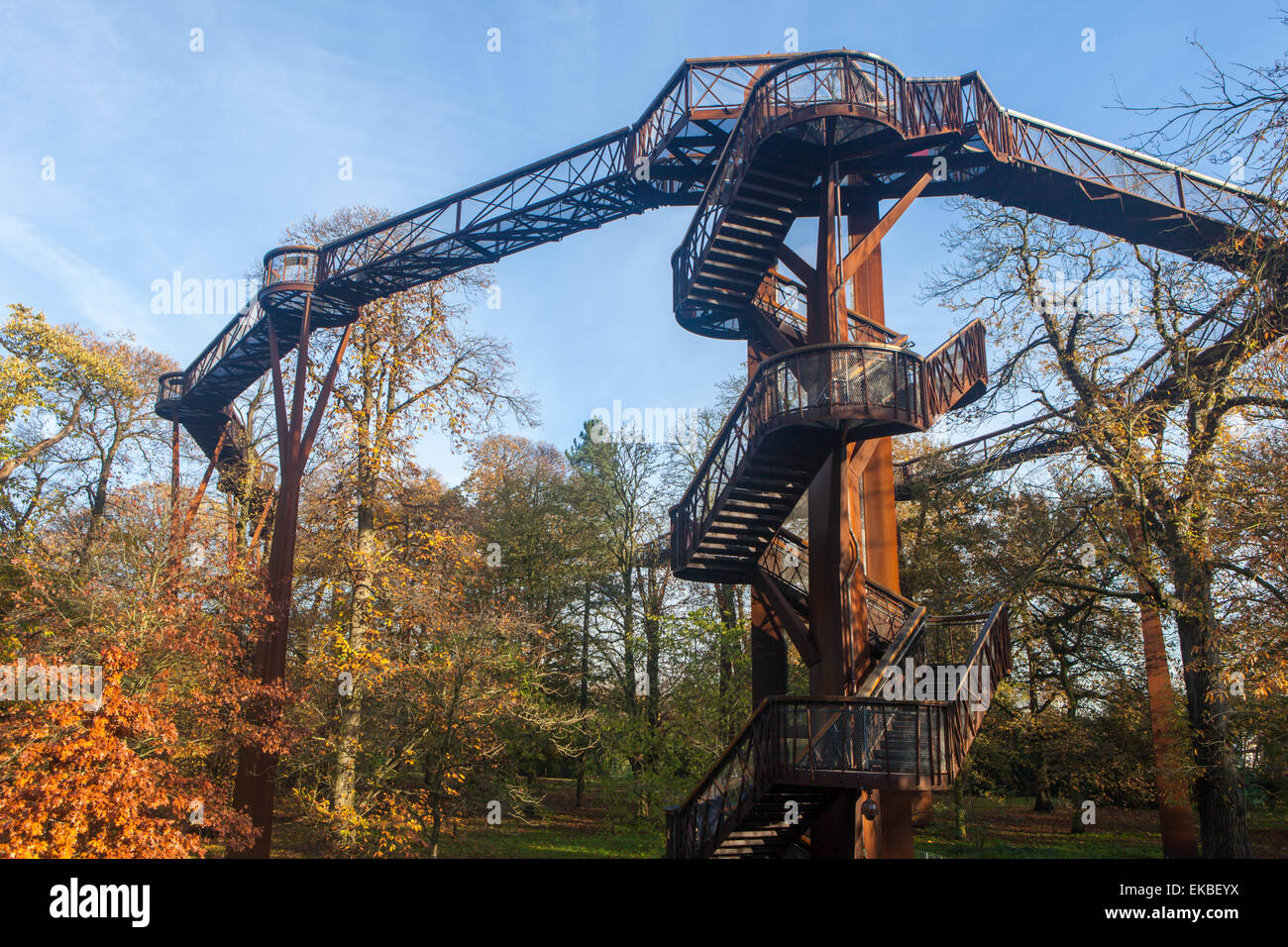 Treetop walkway england autumn hi-res stock photography and images - Alamy