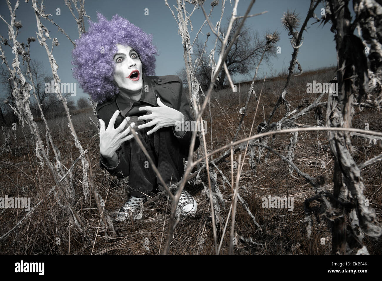 Predatory clown hi-res stock photography and images - Alamy