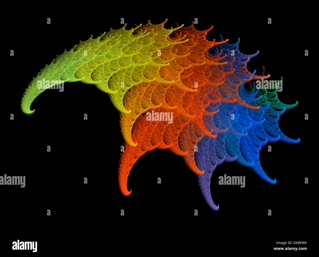 Fractal leaf patterns hi-res stock photography and images - Alamy