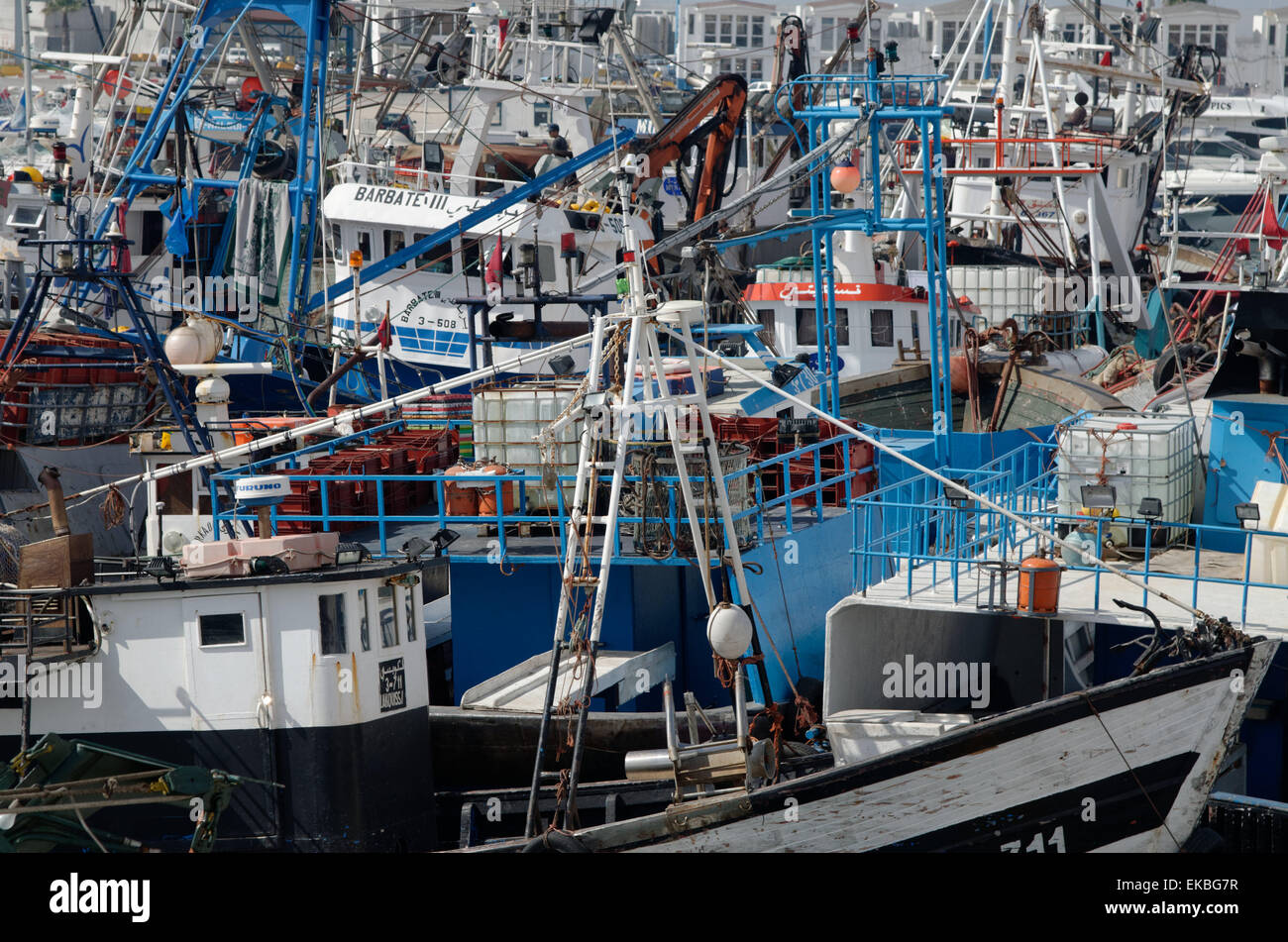 Densely crowded fishing boats moored in Tangier fishing harbour ...