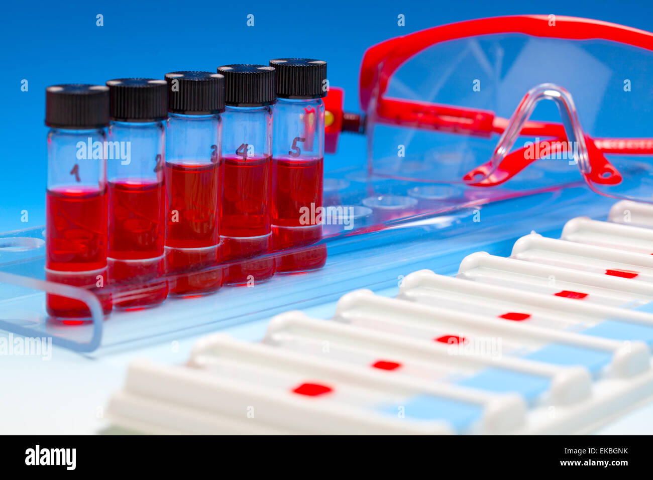 Array of blood samples for microscopy and biopsy tissue on blue Stock ...