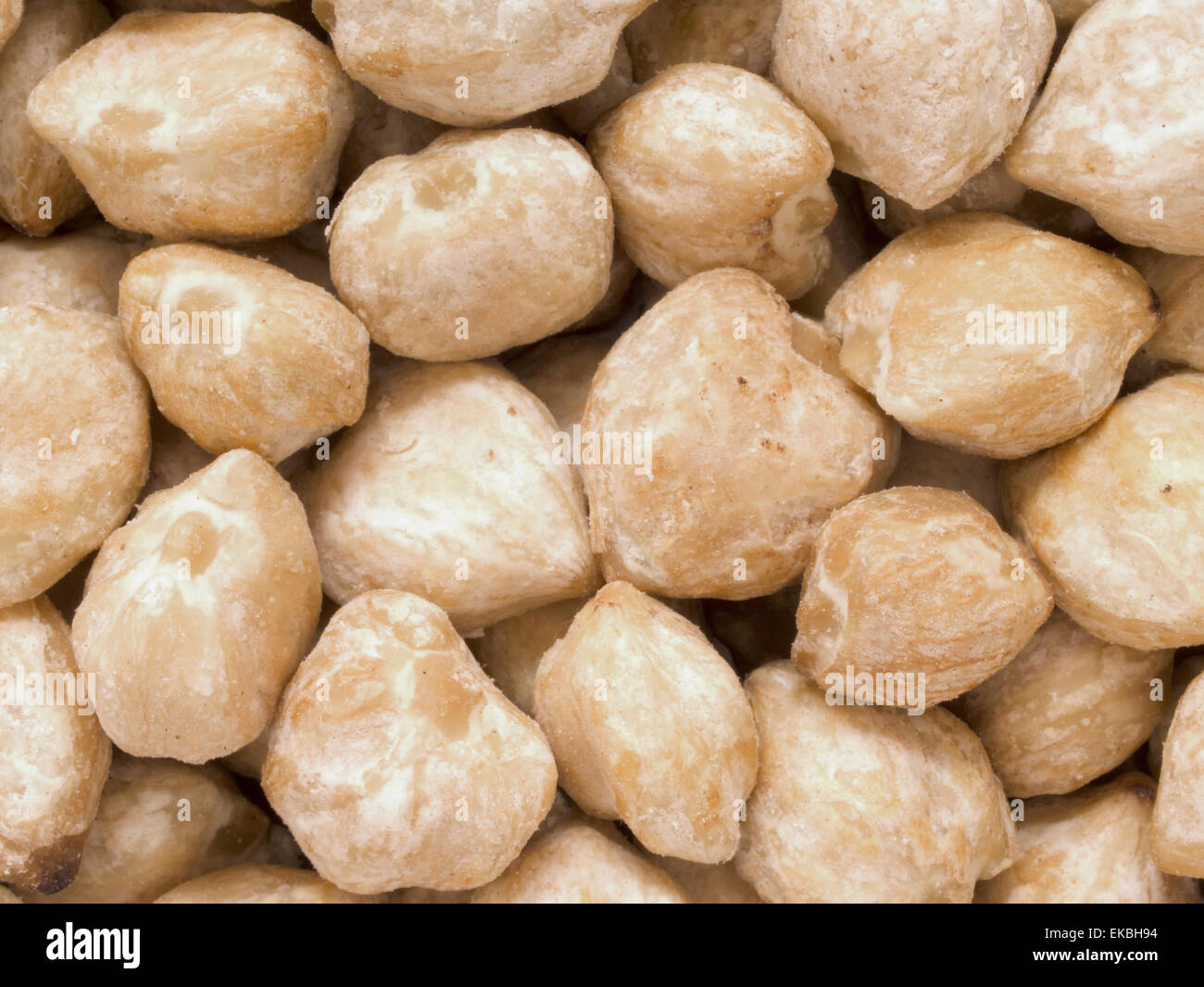 Candlenuts hi-res stock photography and images - Alamy