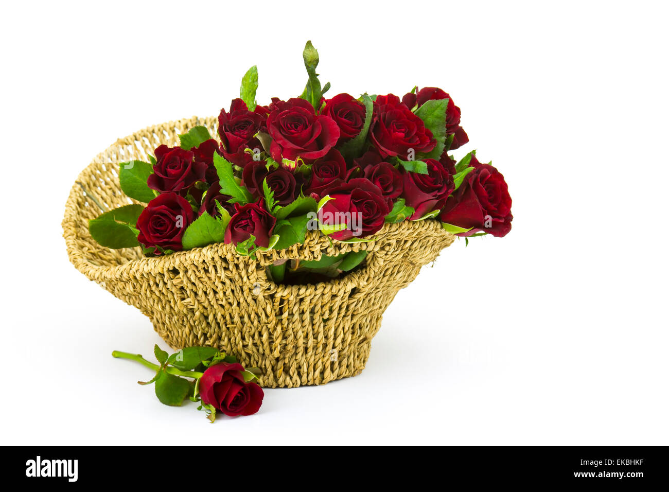 Red roses in rose Cut Out Stock Images & Pictures - Alamy