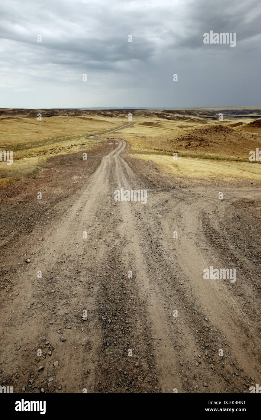 Roads in the desert Stock Photo - Alamy
