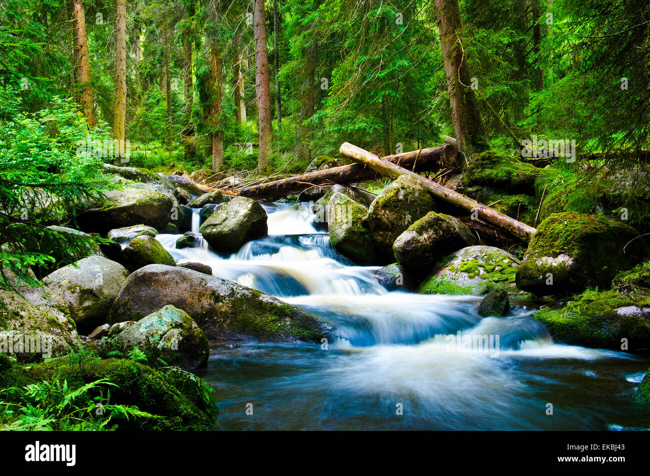 Deep ecology hi-res stock photography and images - Alamy