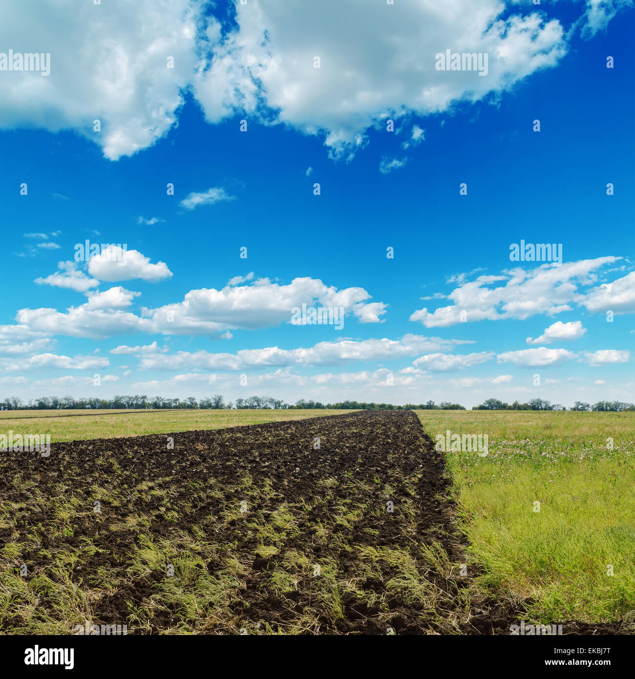 blue cloudy sky and plouwed field Stock Photo - Alamy
