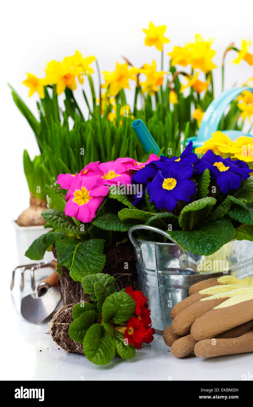 Spring flowers and garden tools Stock Photo - Alamy