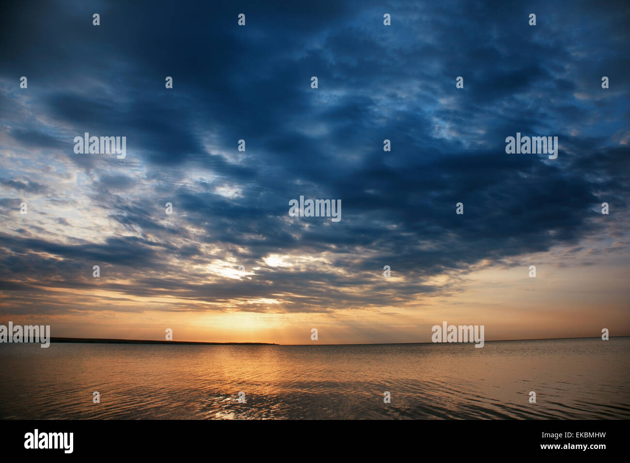 Beauty of the sea Stock Photo - Alamy