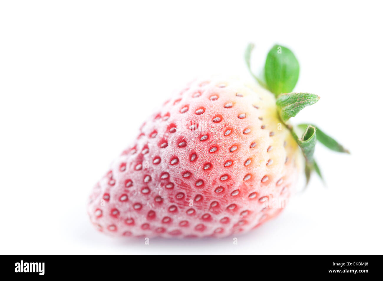 big red strawberry in frost isolated on white Stock Photo - Alamy