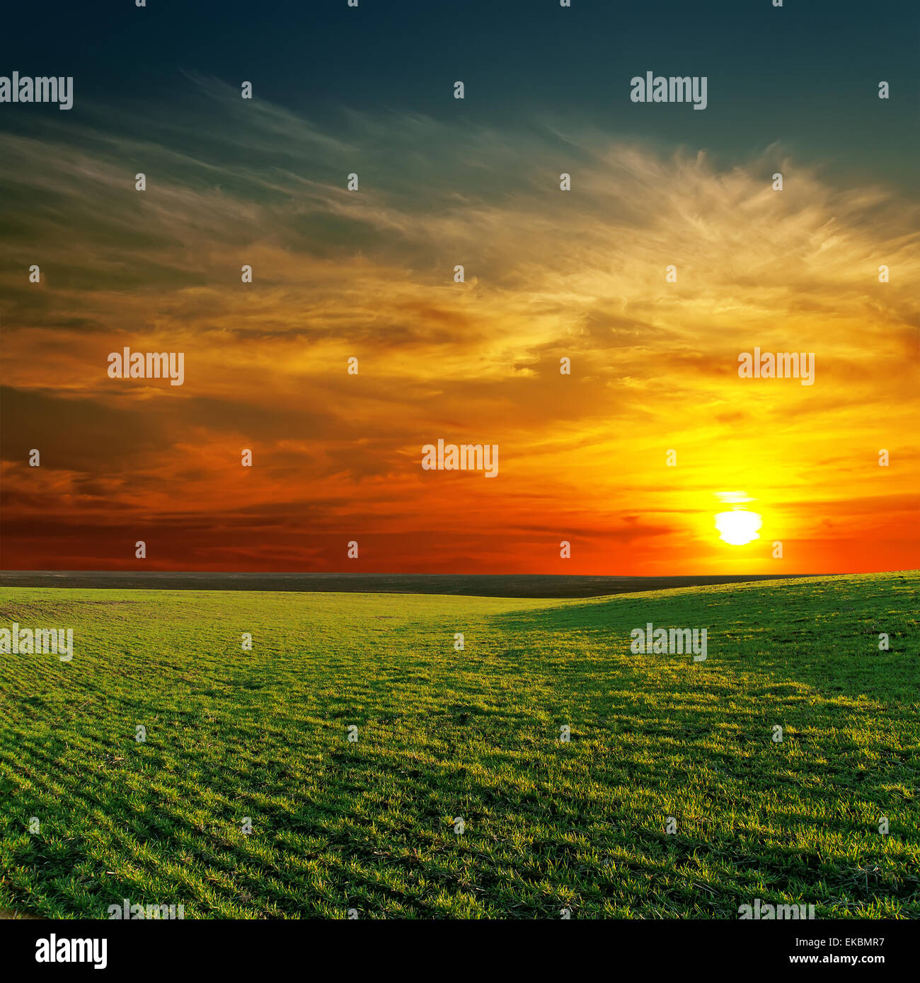 good sunset and green grass Stock Photo - Alamy