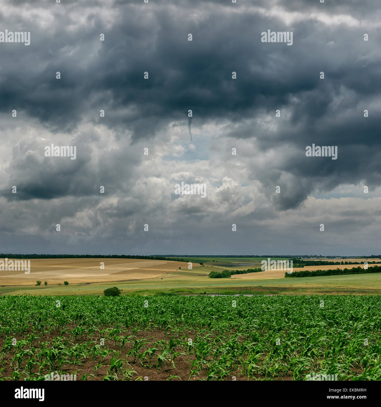 dark cloudy sky and green field Stock Photo - Alamy