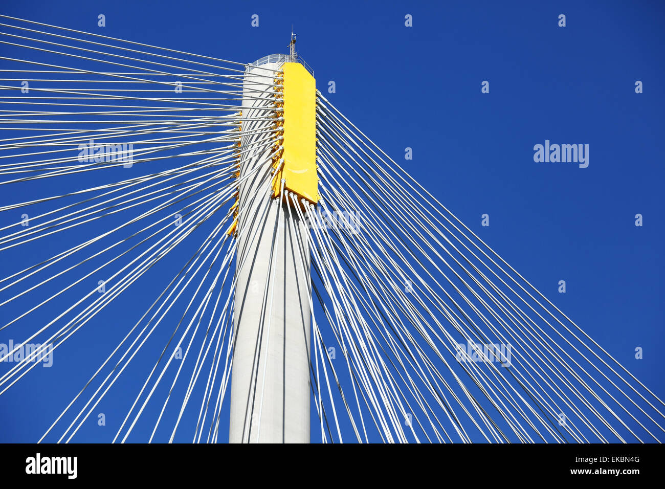Suspension bridge with cables Stock Photo - Alamy