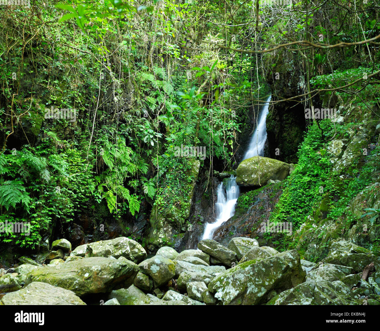 Romantic waterfall in forest hi-res stock photography and images - Alamy