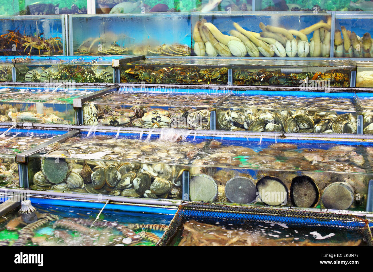 Seafood market in Hong Kong Stock Photo - Alamy