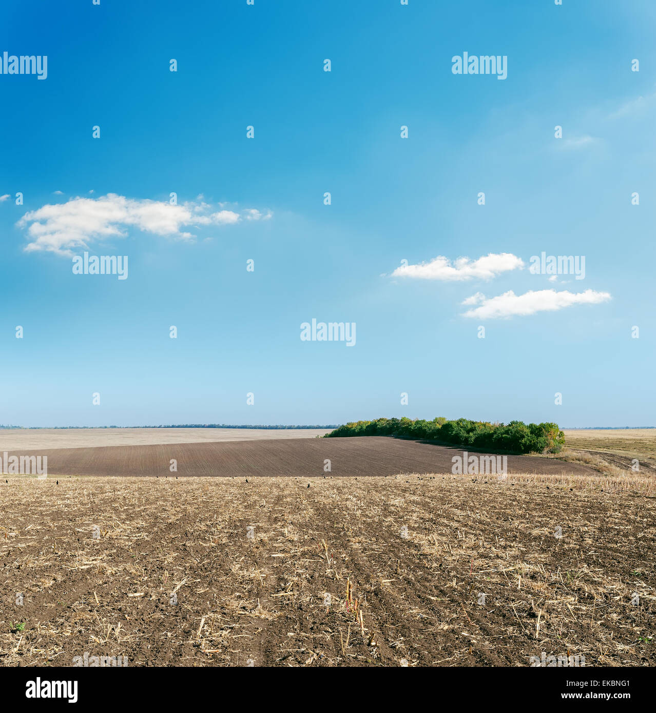 Plowed under hi-res stock photography and images - Alamy