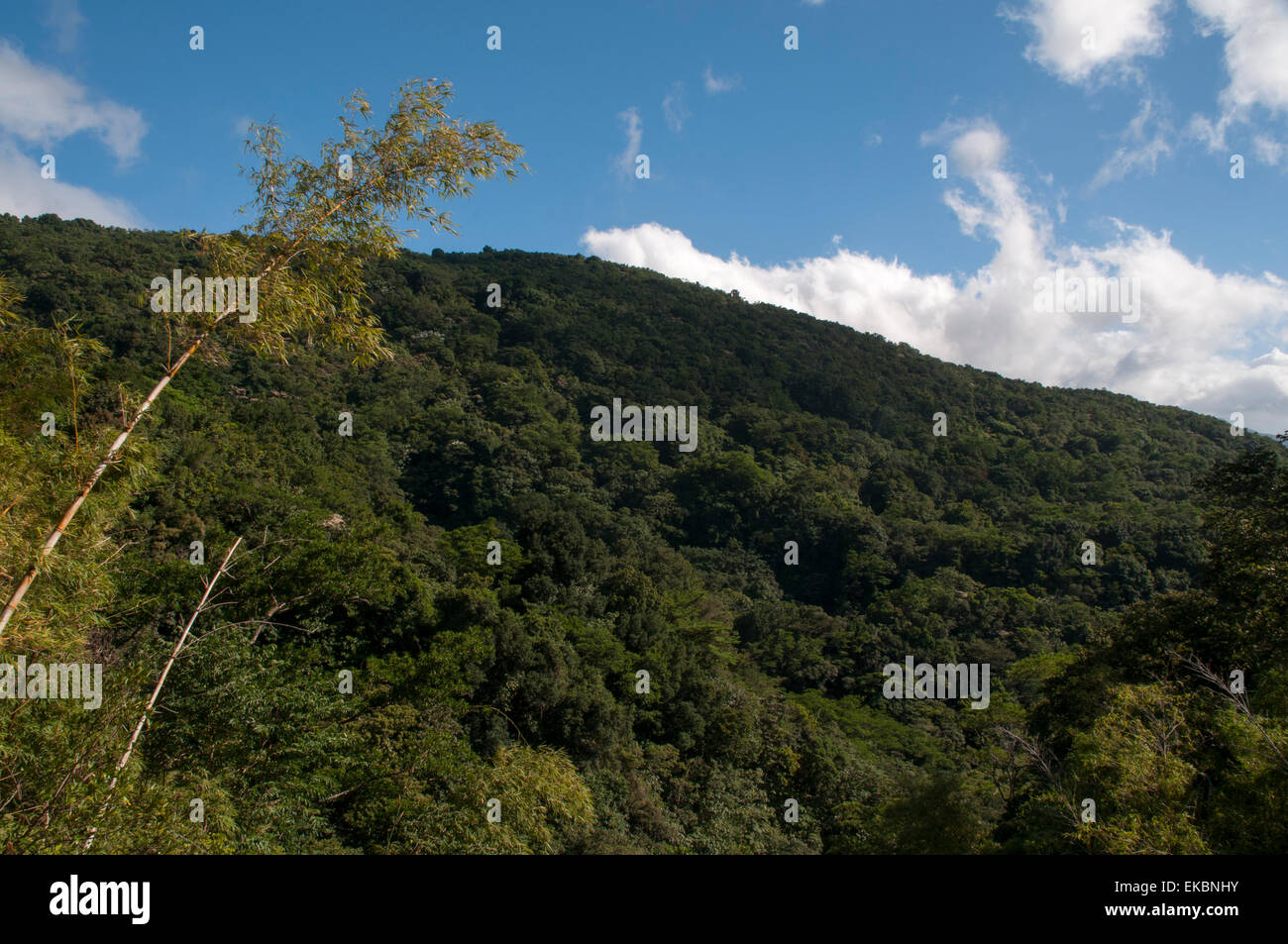 Dominica in the Caribbean is called natural island because of the lush ...