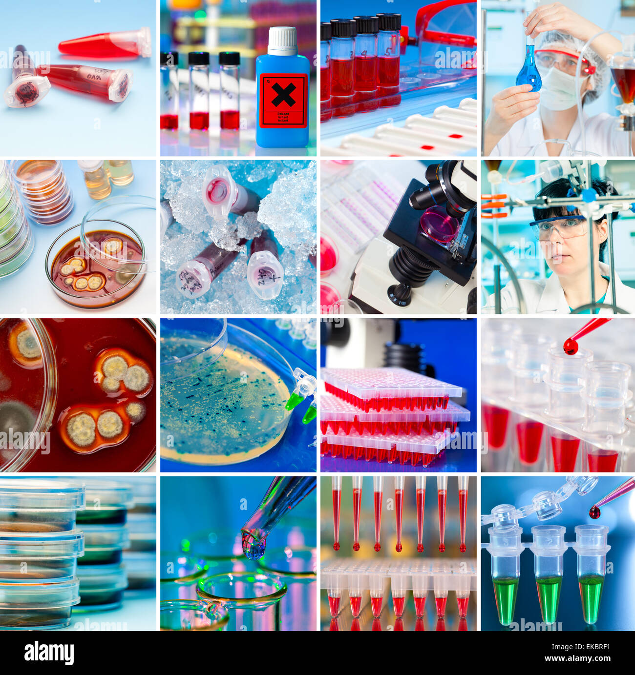 Scientific research collage hi-res stock photography and images - Alamy