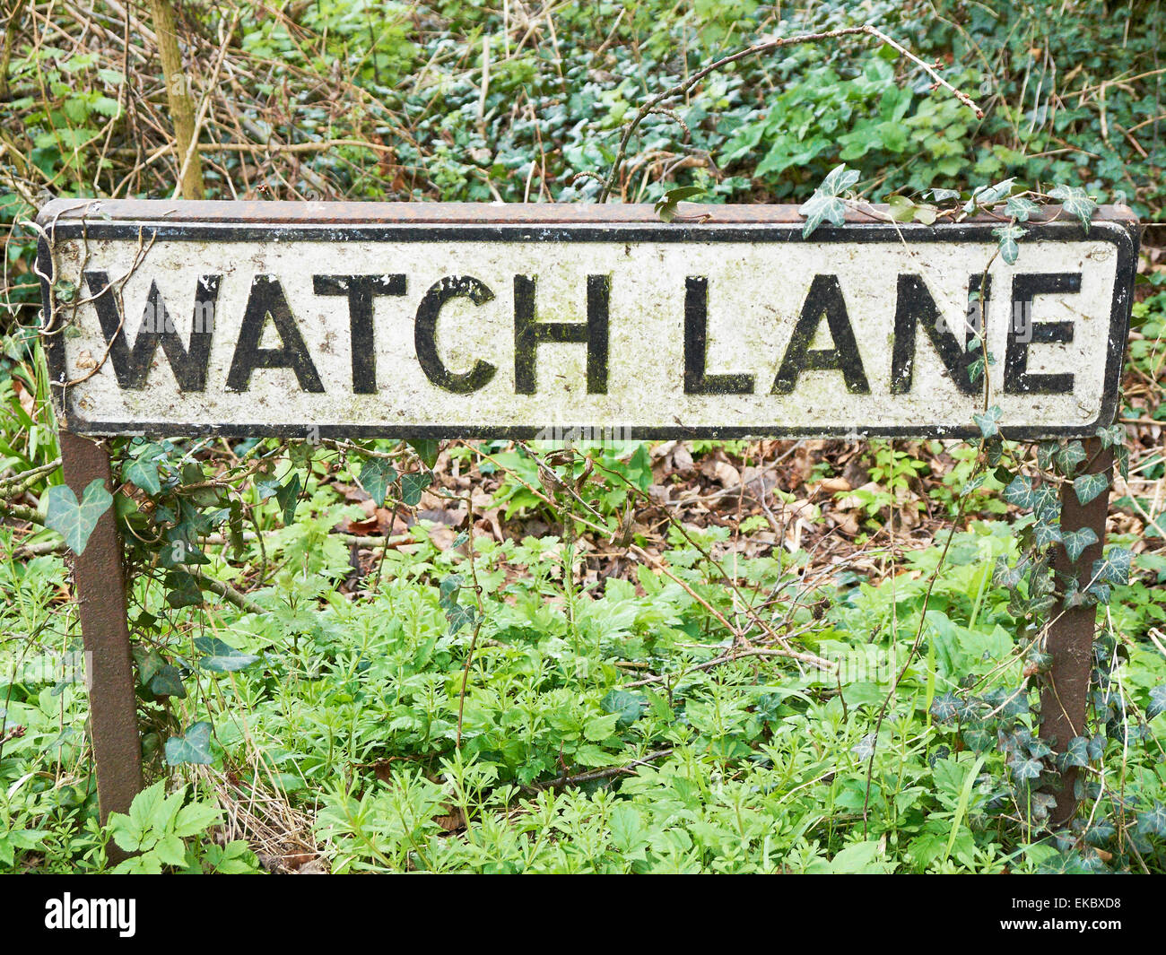 Watch Lane street sign in Cheshire UK Stock Photo - Alamy