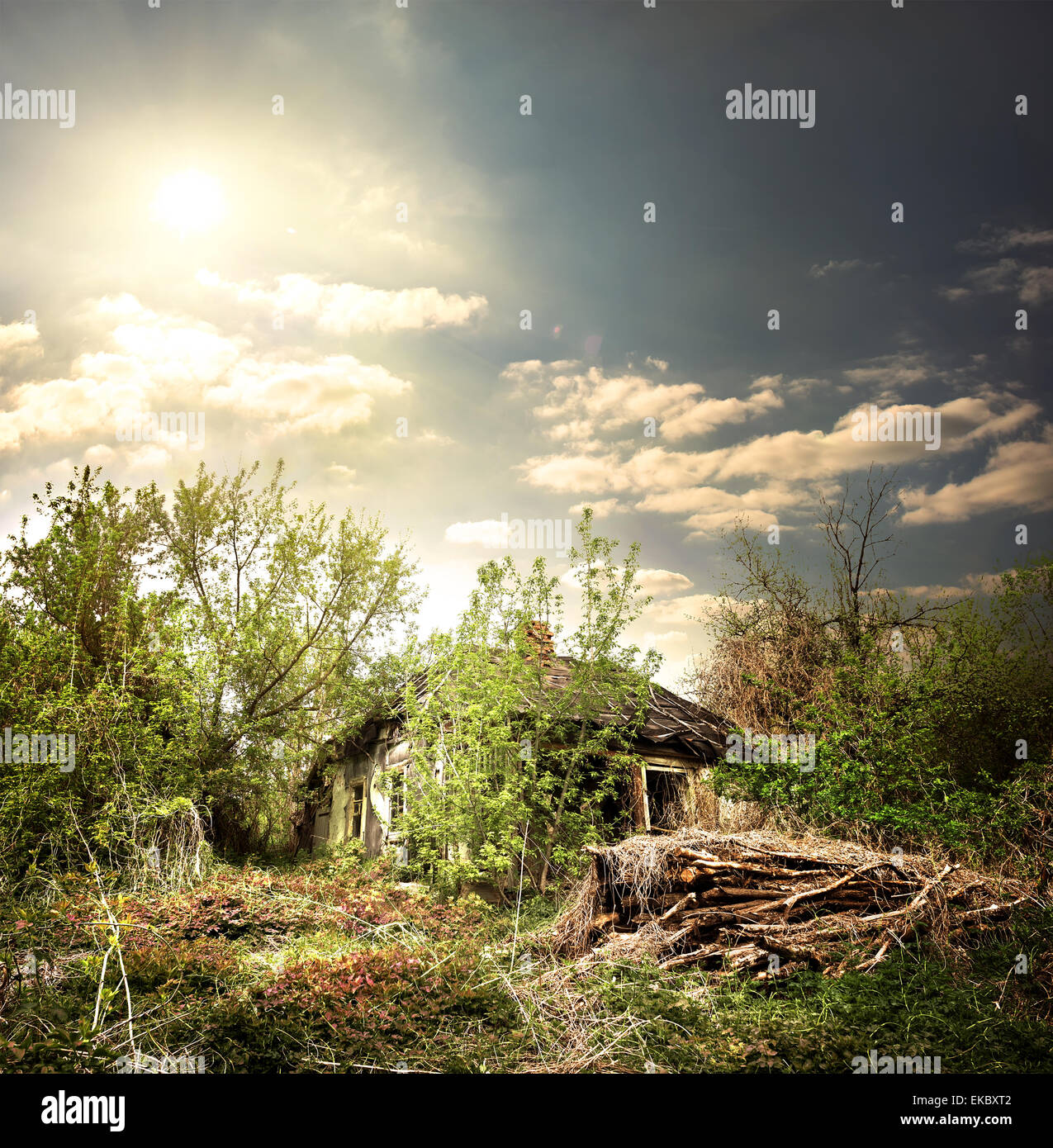 Old collapsed house Stock Photo - Alamy