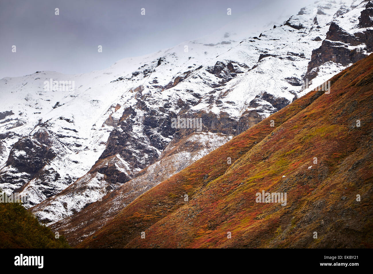 Steep mountain hi-res stock photography and images - Alamy