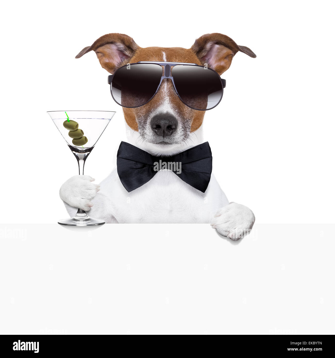 funny cocktail dog banner Stock Photo - Alamy