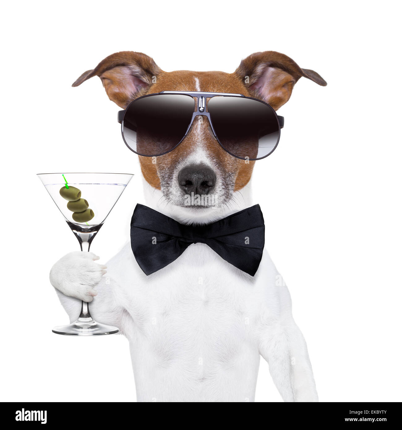 Martini glasses toasting hi-res stock photography and images - Alamy