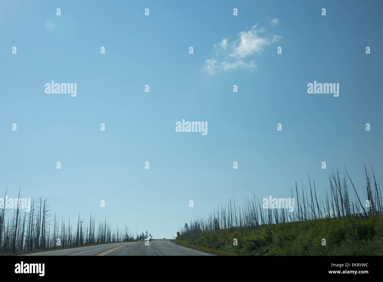 Road going into the distance hi-res stock photography and images - Alamy