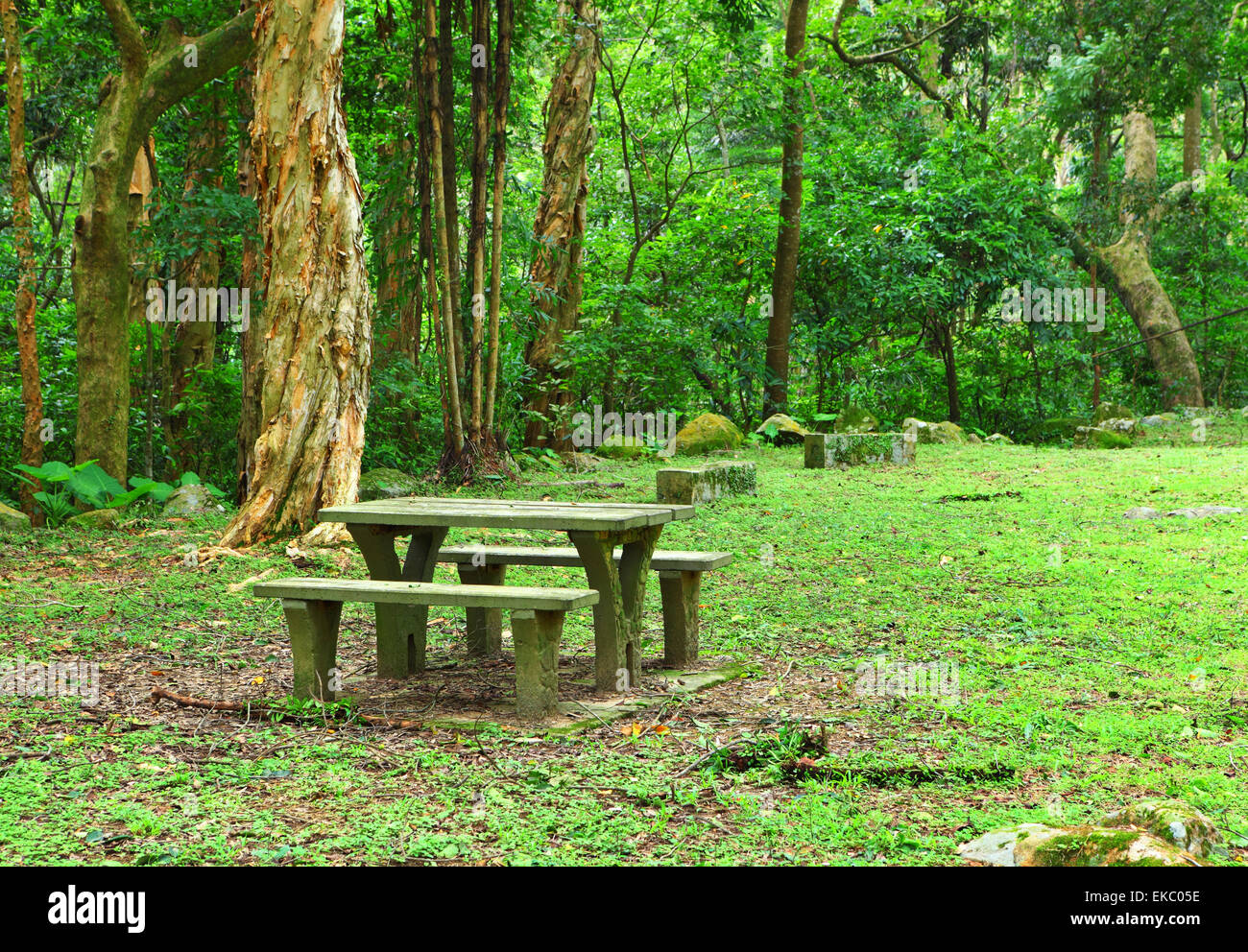 picnic place in forest Stock Photo - Alamy