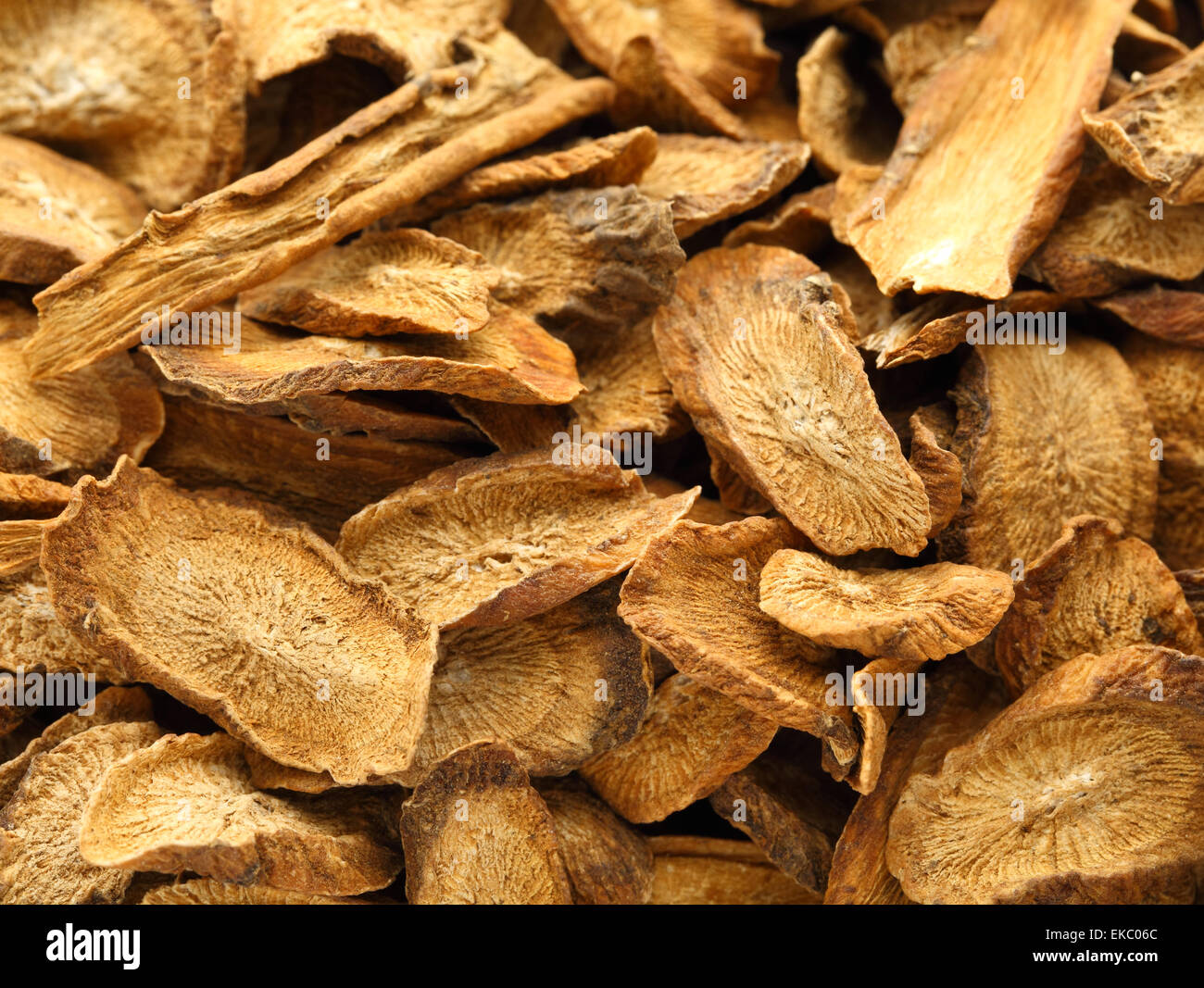 Burdock root hi-res stock photography and images - Alamy