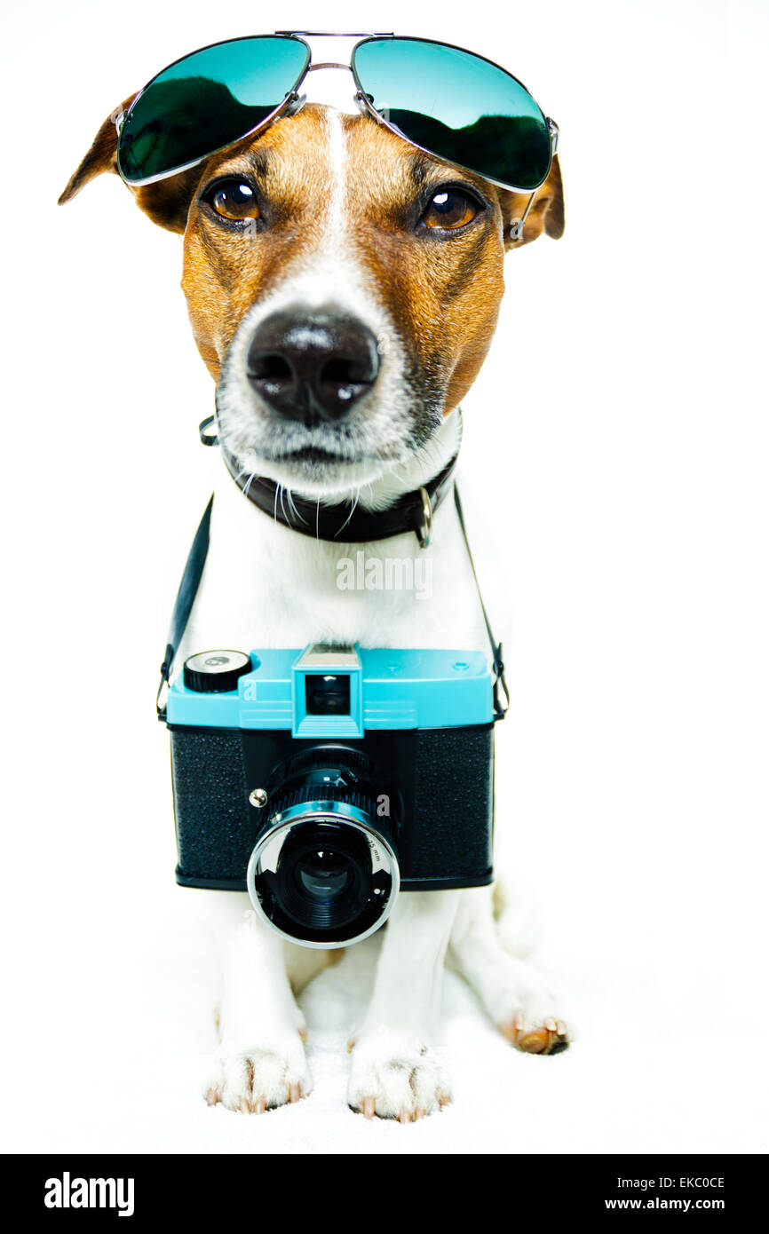 dog photo camera Stock Photo - Alamy