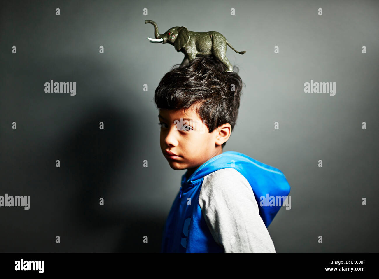 Elephant anatomy hi-res stock photography and images - Alamy