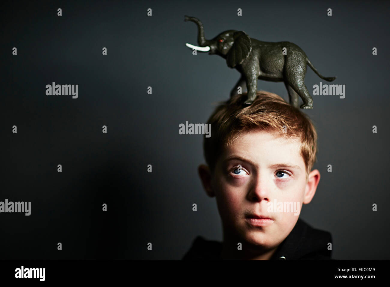 Elephant anatomy hi-res stock photography and images - Alamy