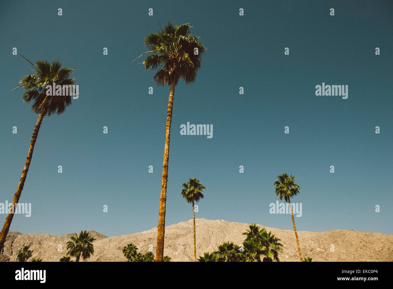 Palm springs hi-res stock photography and images - Alamy