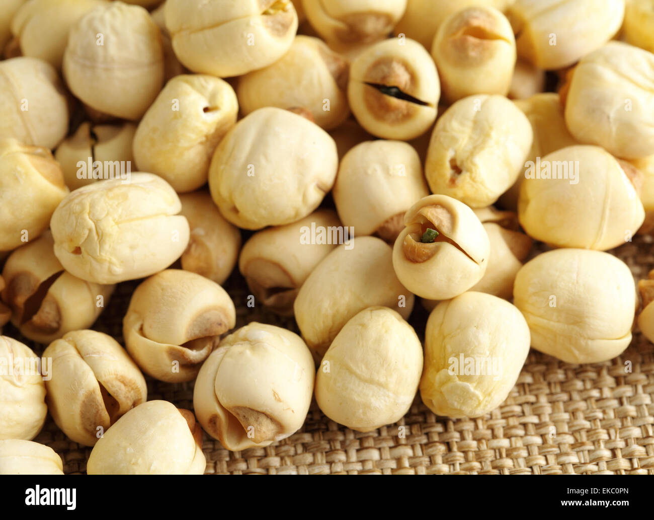 dry lotus seed Stock Photo - Alamy