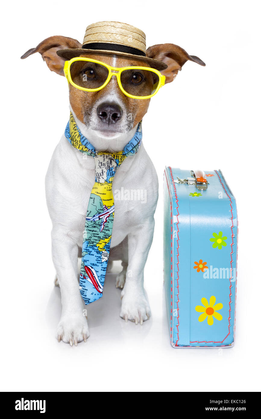 vacation tourist dog Stock Photo - Alamy