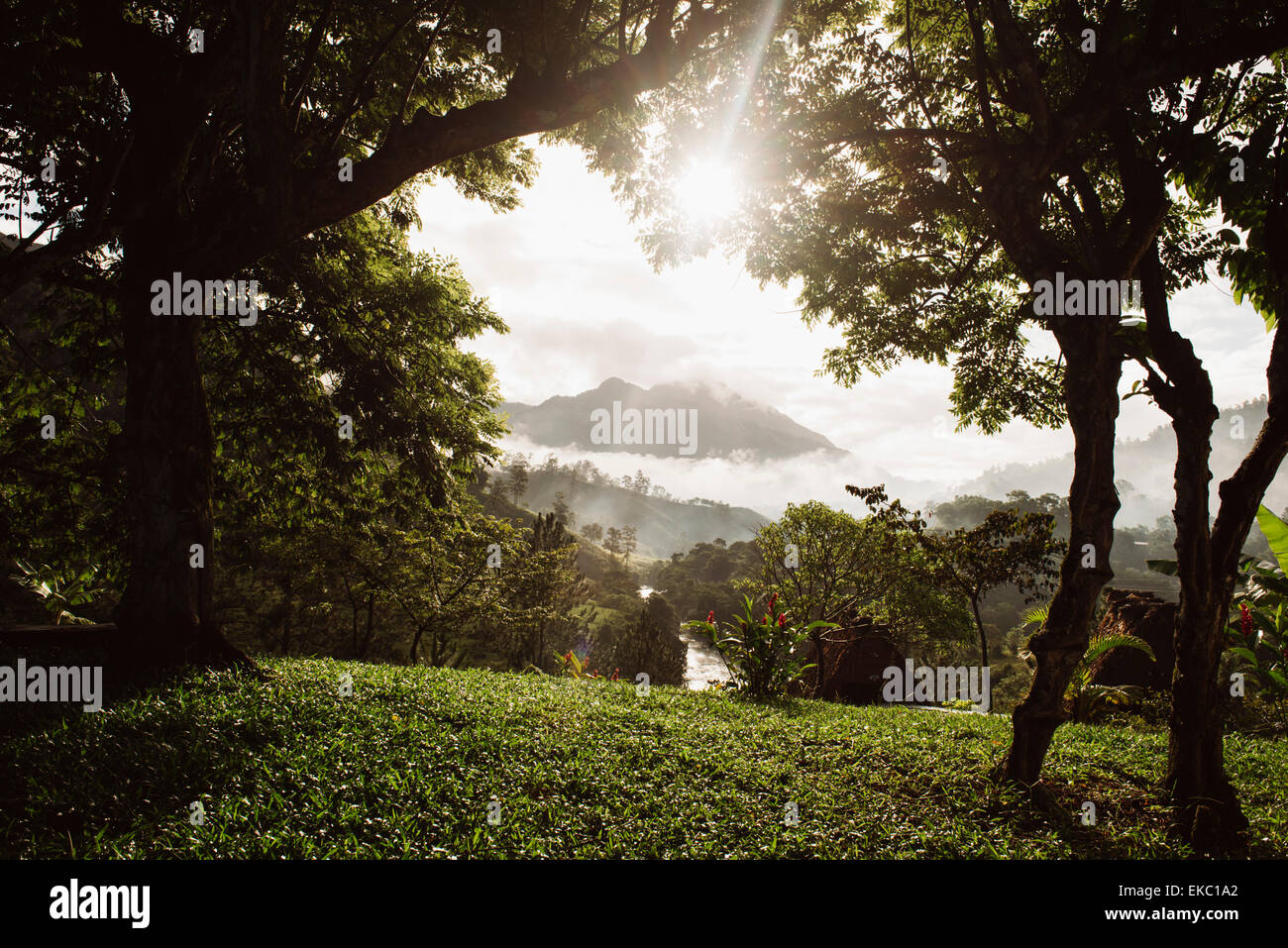 View of morning sunlight and misty valley, Lanquin, Alta Verapaz ...